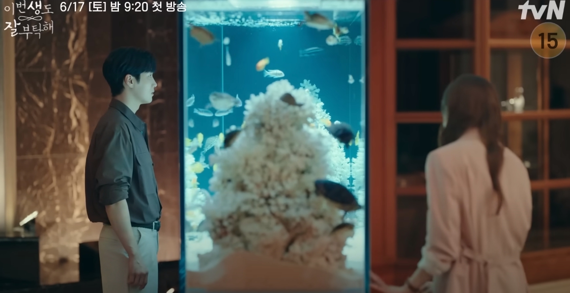 tvN ‘이번 생도 잘 부탁해’ 신혜선-안보현 “저랑 한번 사귀어보실래요?” - 스타연예 - KBS연예