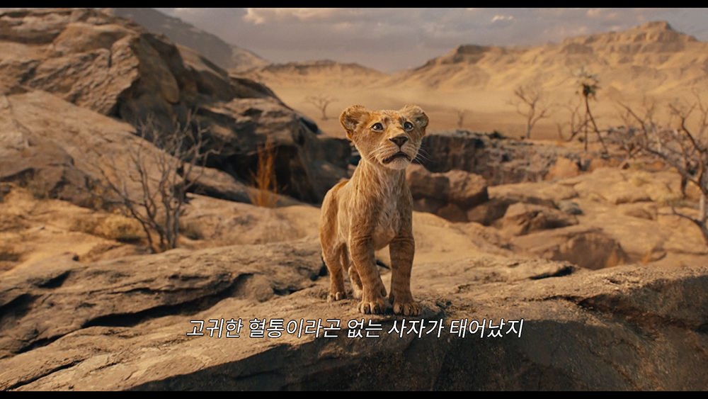 심바의 아버지, '무파사: 라이온 킹' 티저 포스터 공개.. 12월 극장 개봉 - 스타연예 - KBS연예